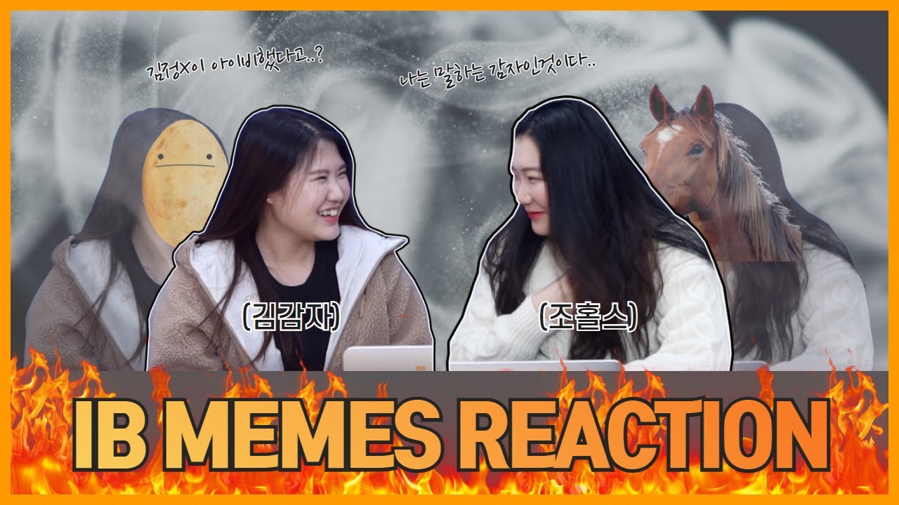 IB 졸업생들 or 학생들이라면 200% 공감할 IB Memes reaction! - YouTube