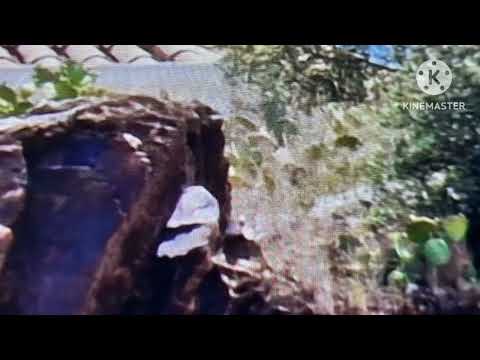 Evi Rauter/The Satanic Hill In Portbou Near Cemetary 😱🥶 - YouTube