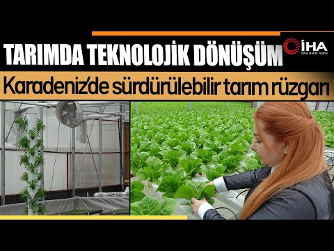 Amerika’dan Trabzon’a Tarım Devrimi: Elif Çakıroğlu’nun Sera Başarısı