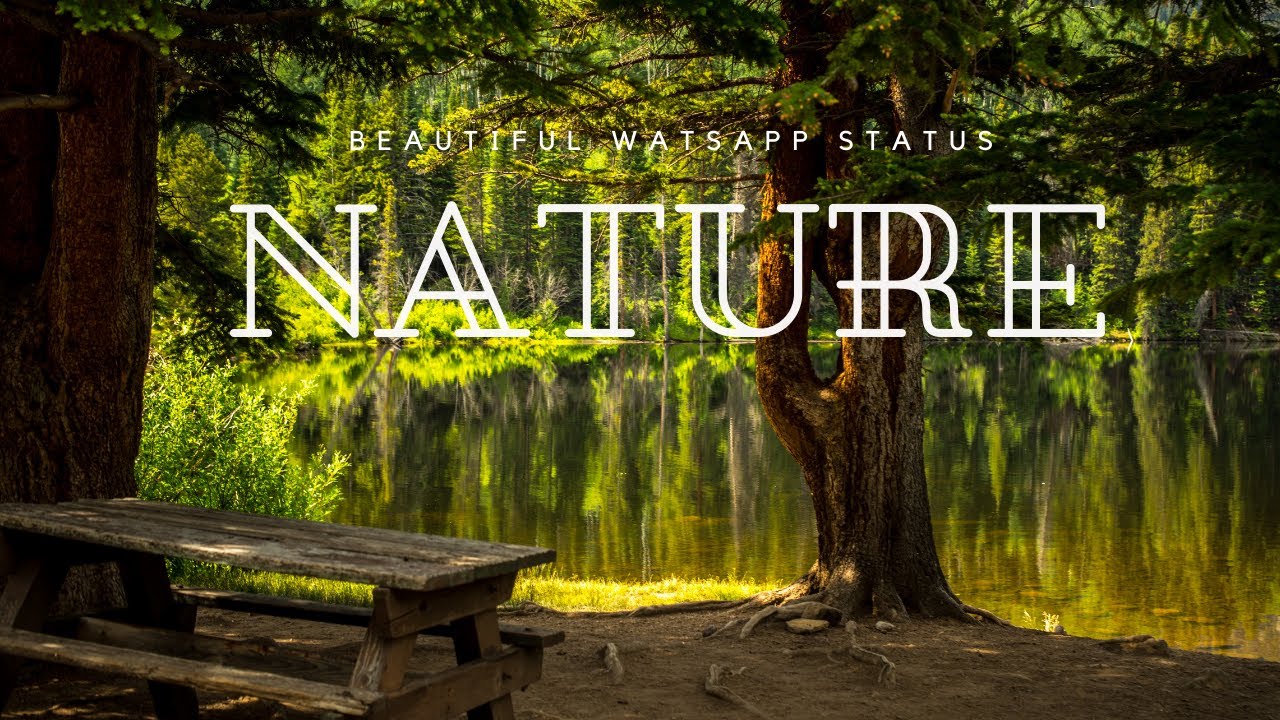 nature watsapp status|| nature status // nature status with song - YouTube