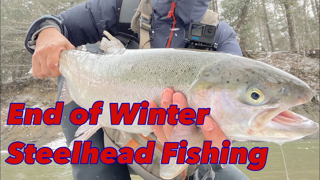 End of Winter Steelhead Fishing - YouTube