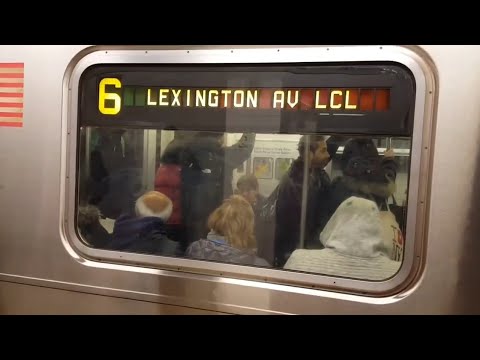 MTA NYC Subway: R142 (4) (5), R142A (4) (6), R62A (6) & R188 (7) Trains ...
