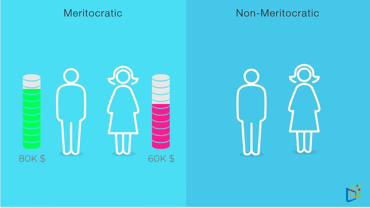 The Paradox of Meritocracy 2D Infographic Video - YouTube