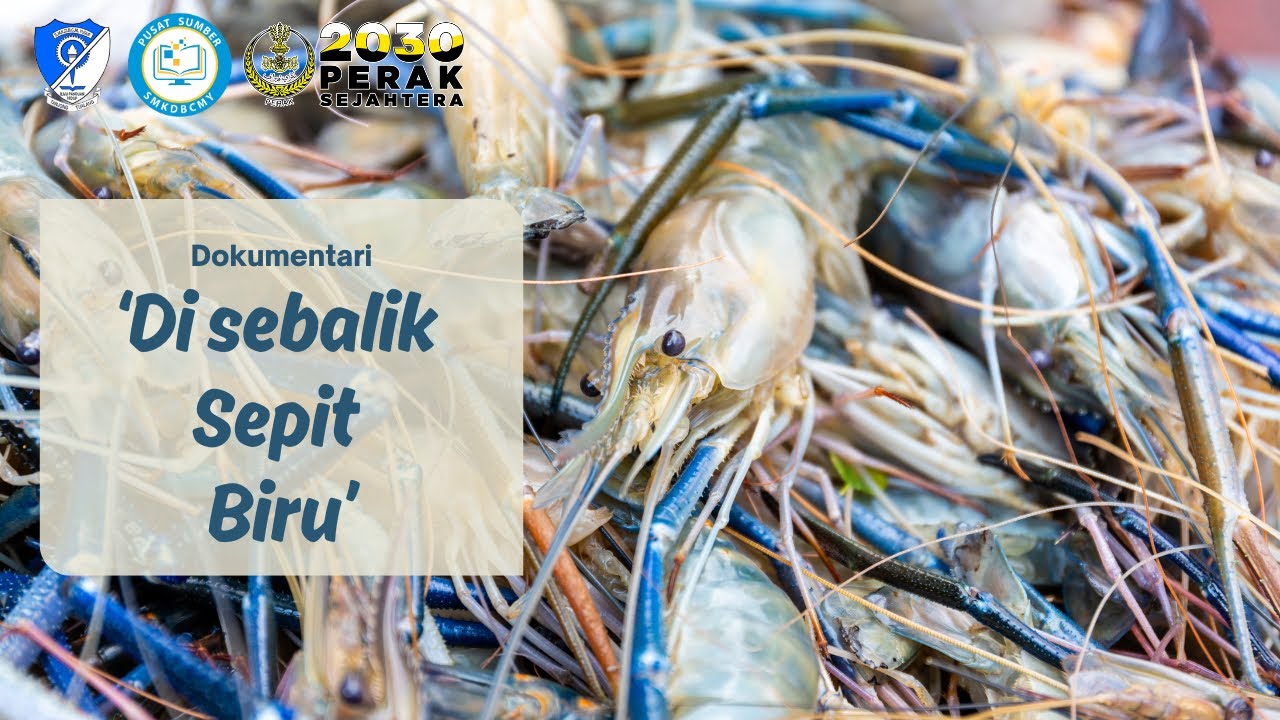 Episod 16 : 'Di sebalik Sepit Biru' - YouTube