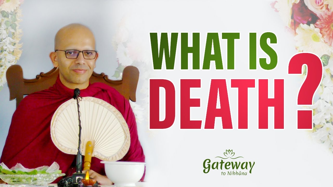 What is death? | Making sense of death - YouTube