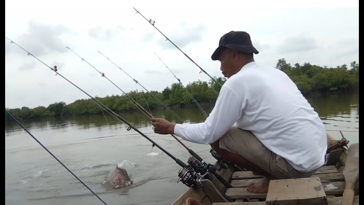 BERUNTUN,,,! TARIKAN IKAN MJ DI SPOT INI SUNGGUH LUAR BIASA #mancing # ...