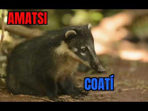 Palabras en lengua tarasca de los pueblos purépecha 2020 🇲🇽💓bandera ...