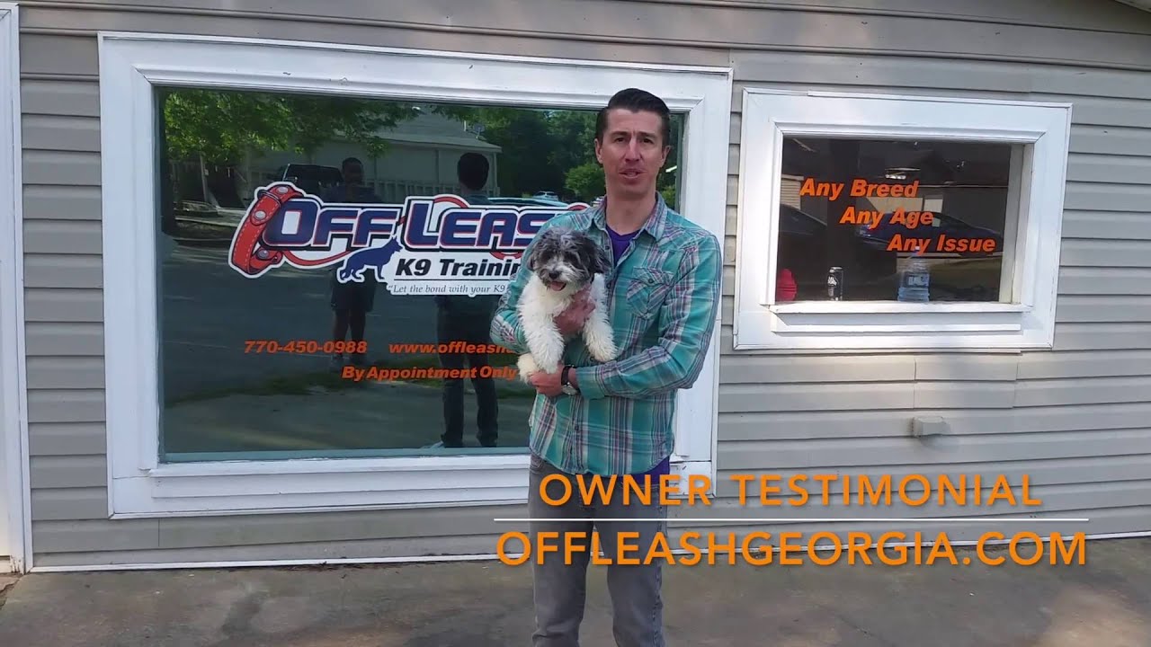 Owner Testimonial | Havapoo | Off Leash K9 Training, Georgia - YouTube