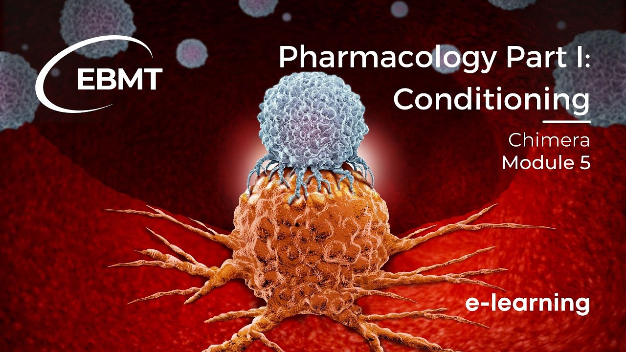 Chimera intros: Conditioning before transplant - YouTube