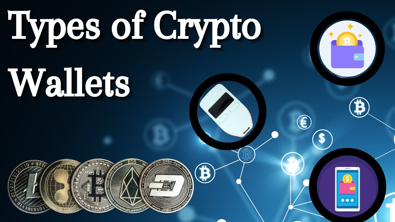 Types Of Cryptocurrency Wallets | Different Types Of Crypto Wallets ...