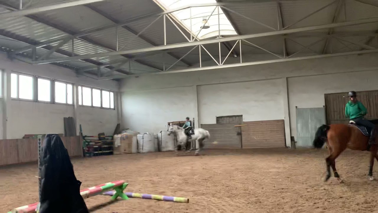 Gaja&Wiki 1 - YouTube