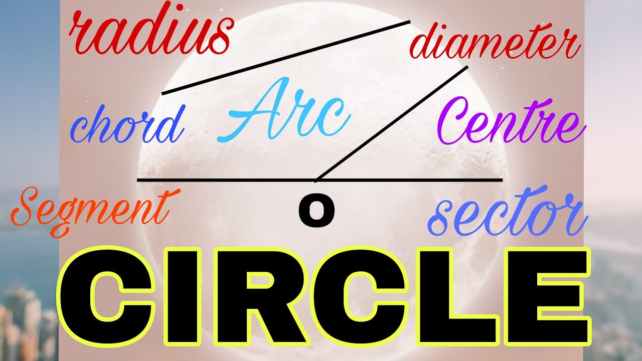 Circle & its parts|Radius|Diameter|Chord|Arc|Segment|Sector - YouTube