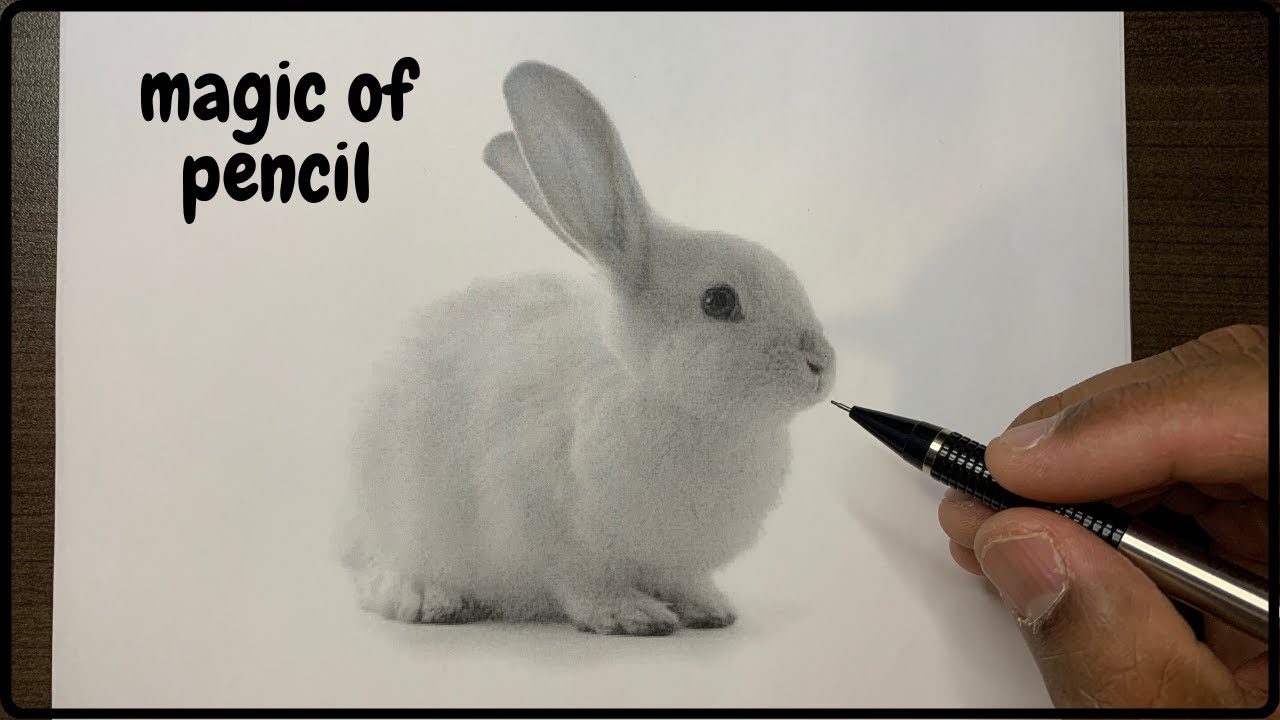 Easy way to draw a bunny realistic. - YouTube