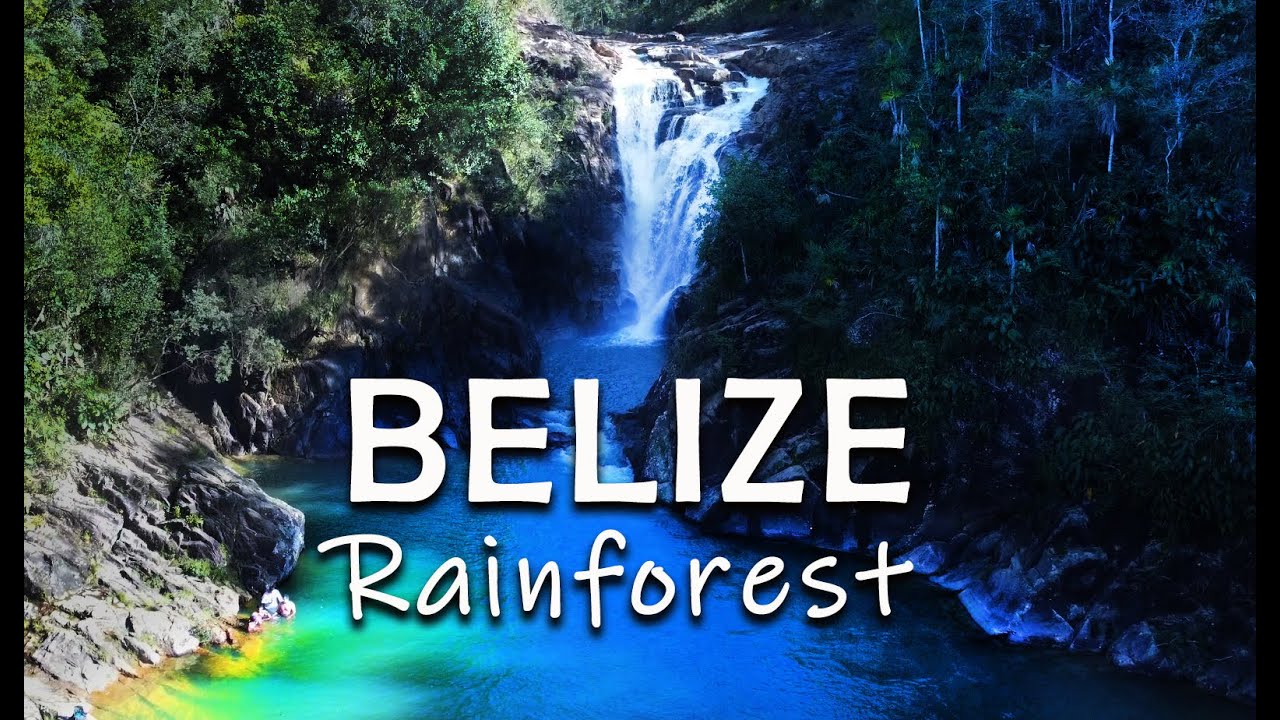 Belize Rainforest Adventure - YouTube