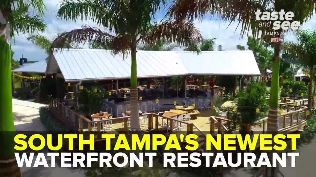 Salt Shack on the Bay in South Tampa | Taste and See Tampa Bay - YouTube