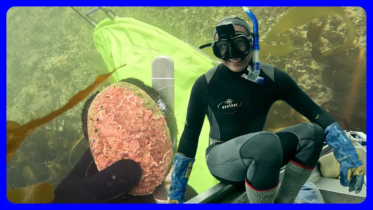 Paua Diving on an NZ Wild Adventure | Part 1 - YouTube