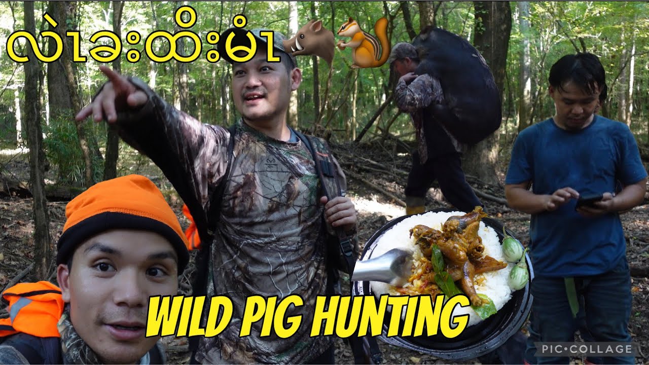 Best hunting day || Georgia wild pig 🐗 hunting || Public land - YouTube