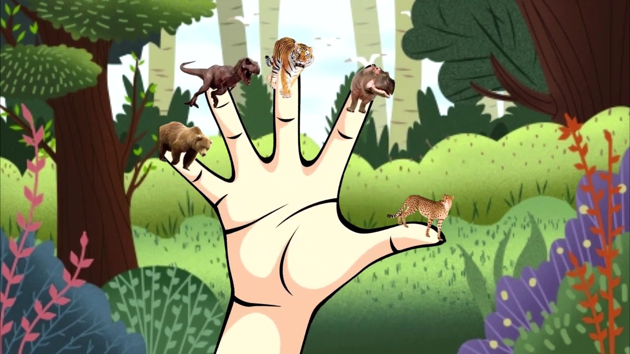 family finger animals wild kids snog - YouTube