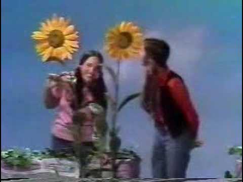 The Magic Garden Theme Song performed by us, Pure Chemistry - YouTube