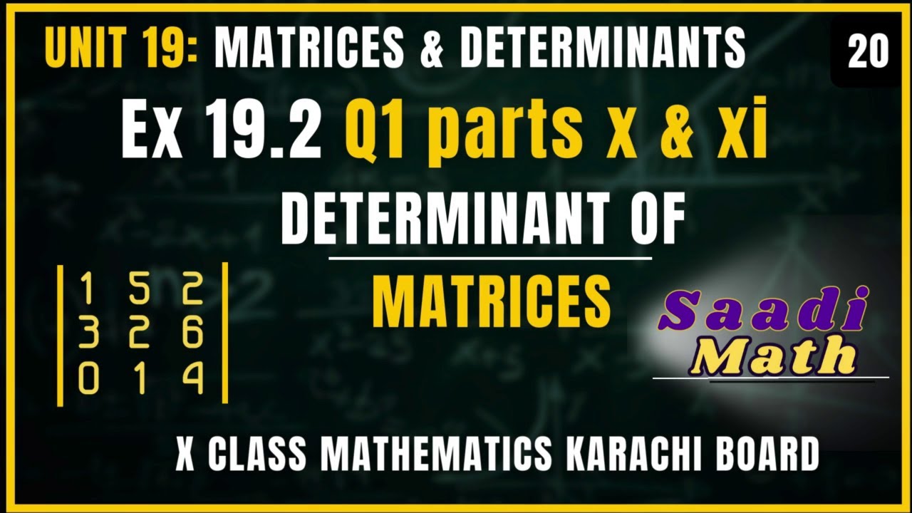 Determinant of the Matrices 3x3 || Ex 19.2 Q1 parts x & xi || X Class ...