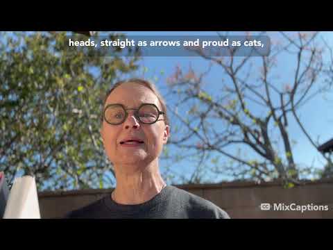 Dandelion Insomnia by Ada Limón in celebration of National Poetry Month ...