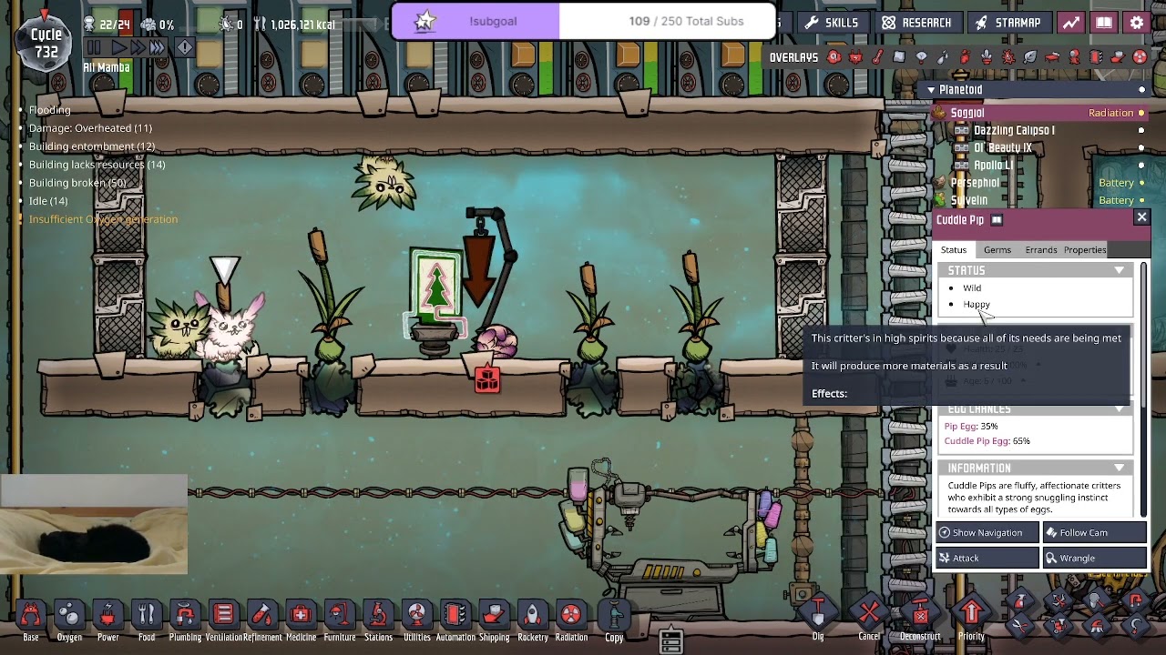 Cuddles & Hugs from the New Pips! - Oxygen Not Included - YouTube