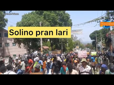 Plizyè santèn moun Solino Dèlma mande revokasyon DG PNH la F. Elbé epi ...