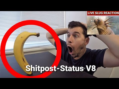 Shitpost-Status compilation V8 - YouTube