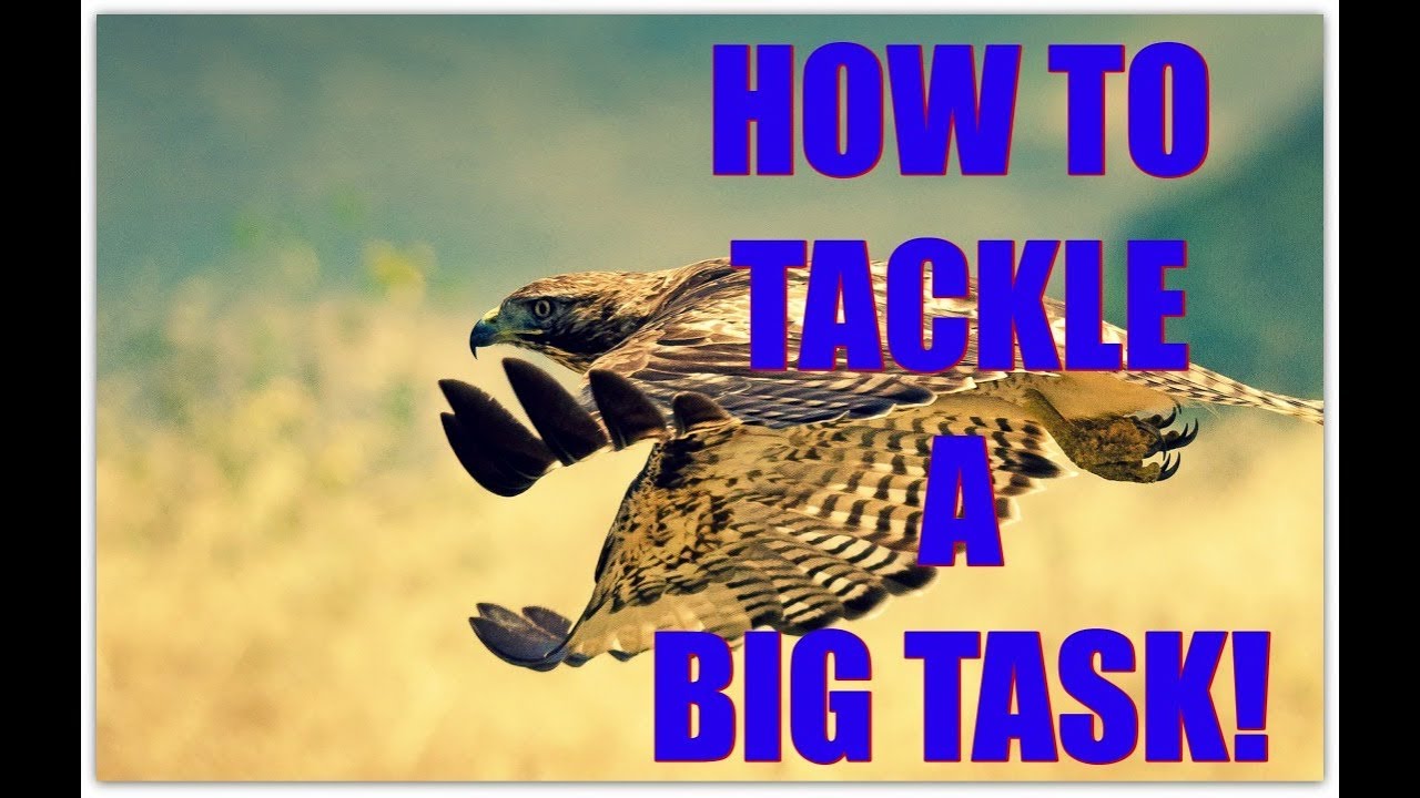 How to Tackle a BIG Task | Wisevibes #1 - YouTube