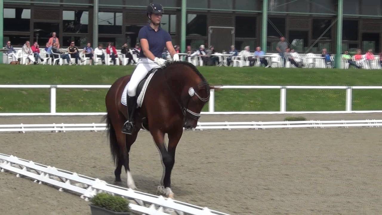 Nymphenburg's First Ampère & Tessa Frank - 1. Sichtung zur WM der ...
