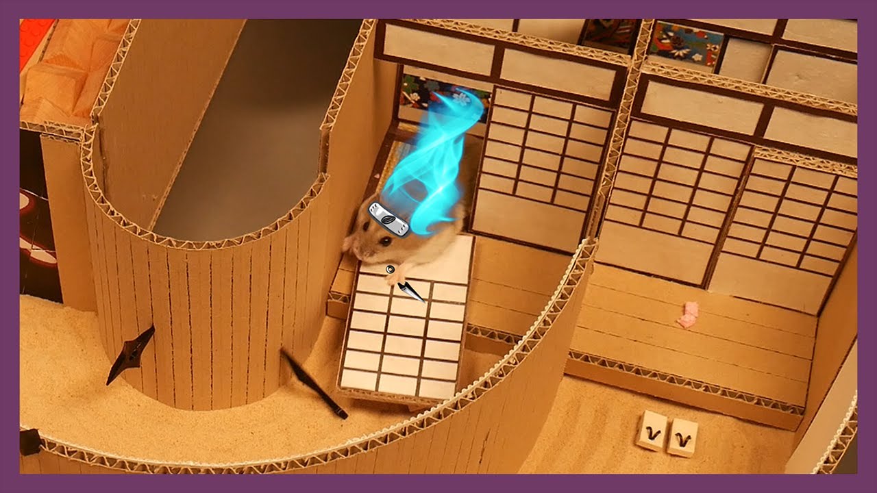 닌자 햄스터 (Ninja Hamster) - YouTube