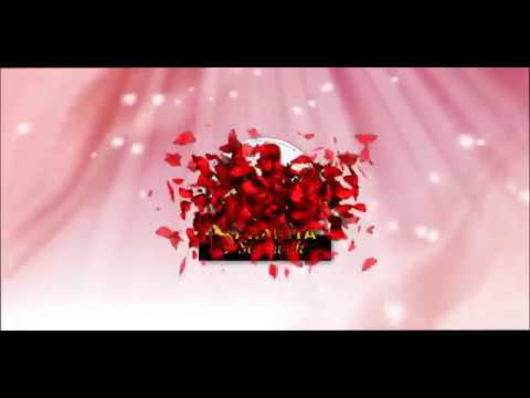 Saranita Gimmick 17 Disember 2016
