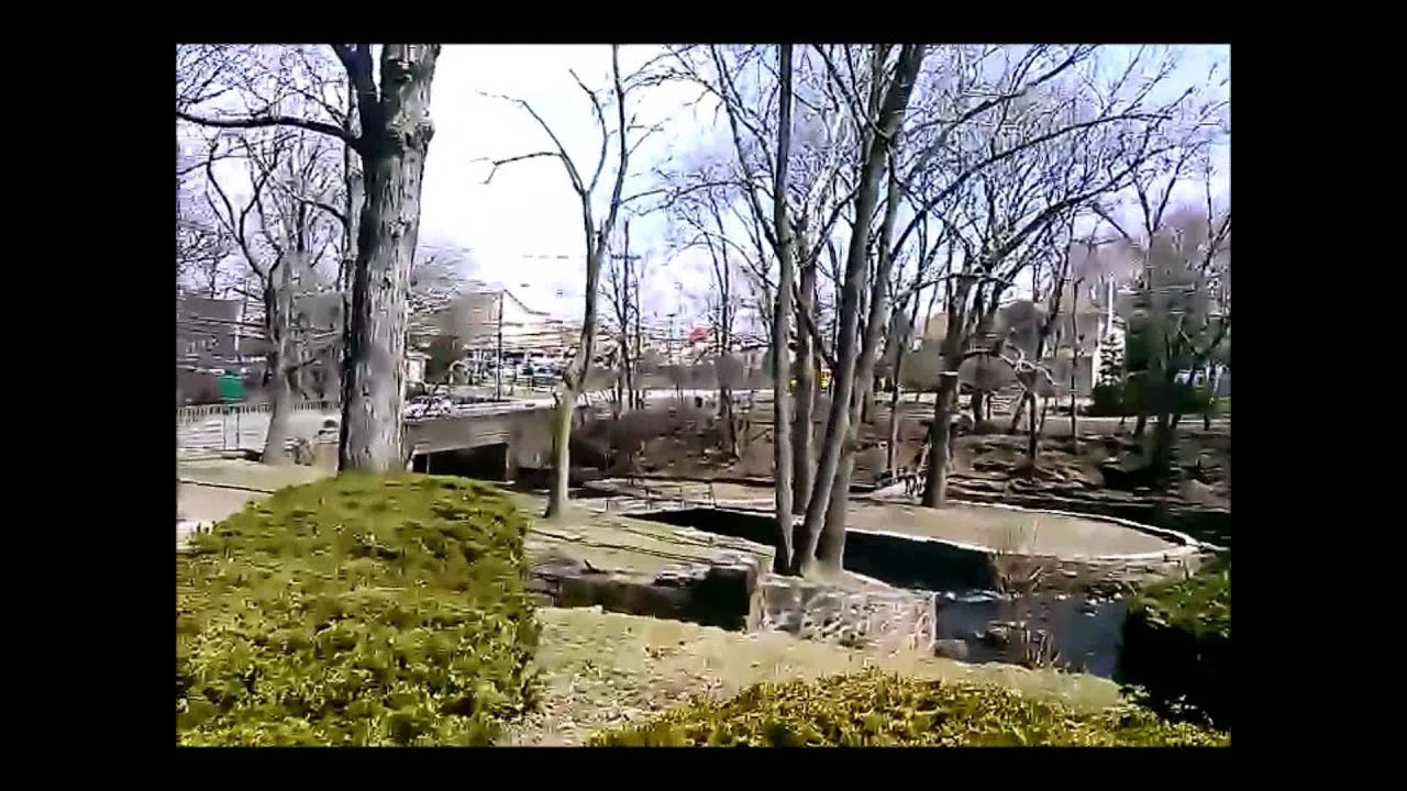 It comes a time Neil Young cover Joe Zoppi 1 - YouTube