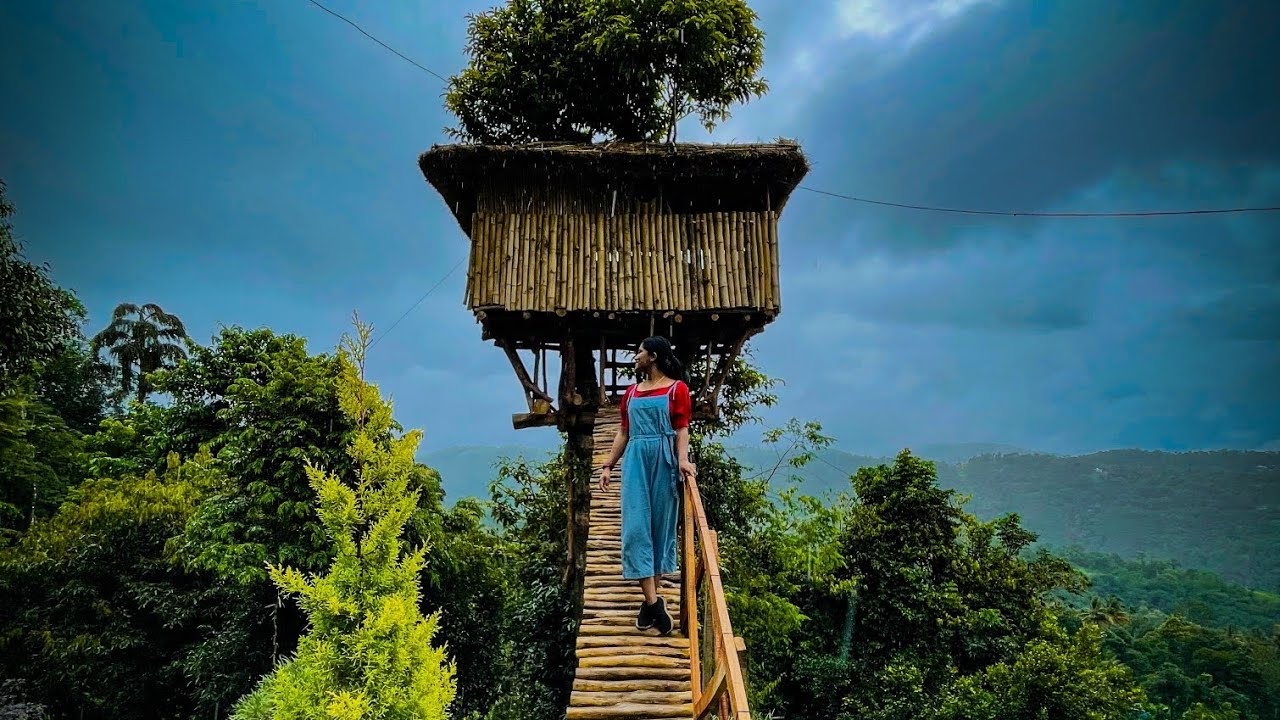 Palkulamheights ⛰| Best budget stay in idukki| Palkulammedu ...