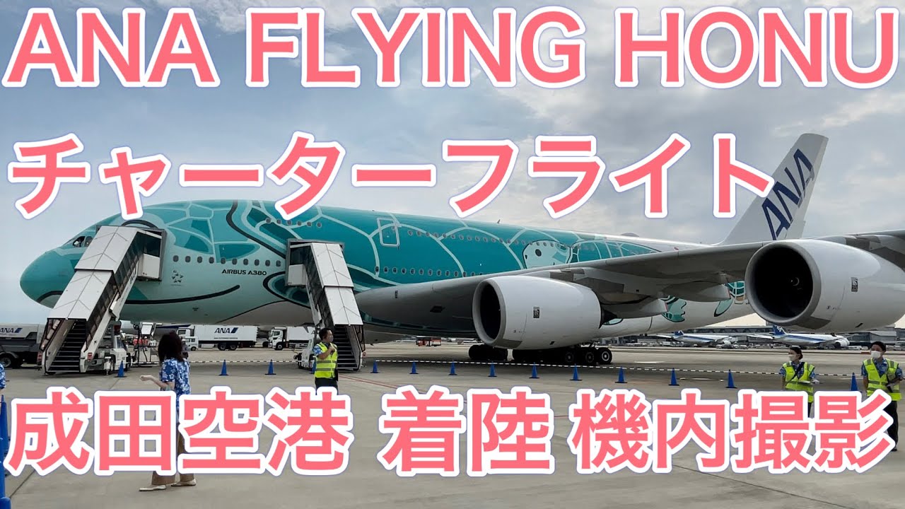 【速報③】ANA FLYING HONU チャーターフライト A380 フライング・ホヌ 遊覧飛行 成田空港 着陸 ANA A380 ...