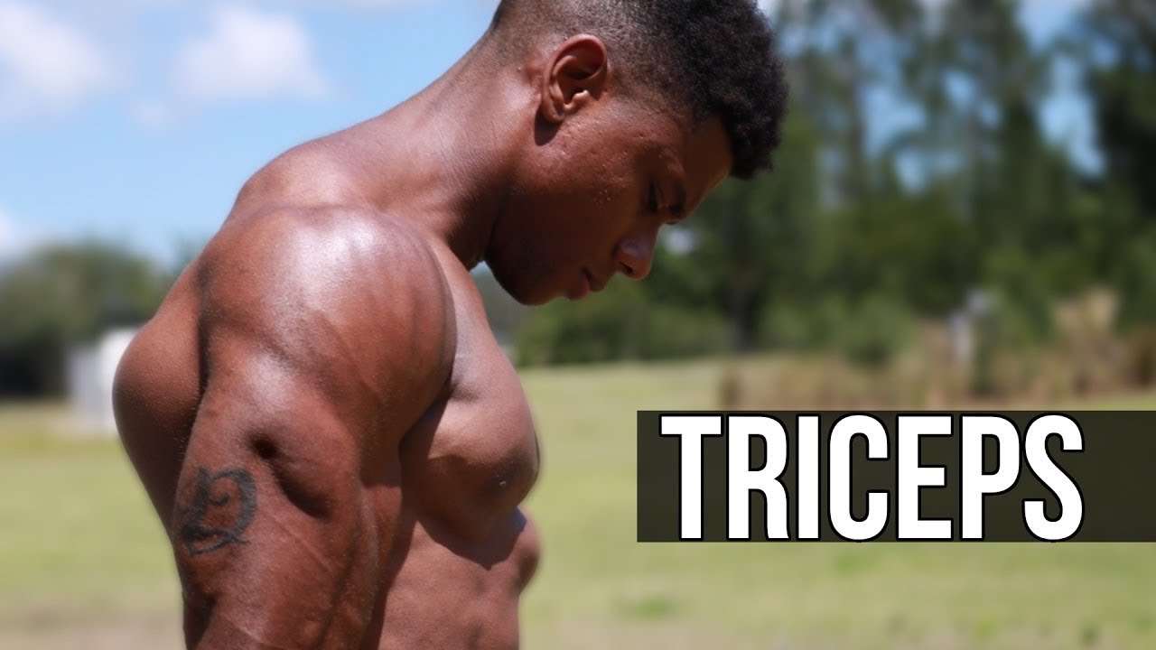 🏋 Tríceps enormes con peso corporal | Top 4 Ejercicios de Calistenia ...