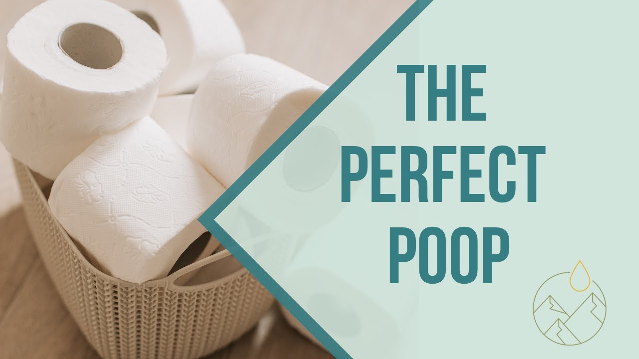 The Perfect Poop - Improving Your Waste Management System - YouTube