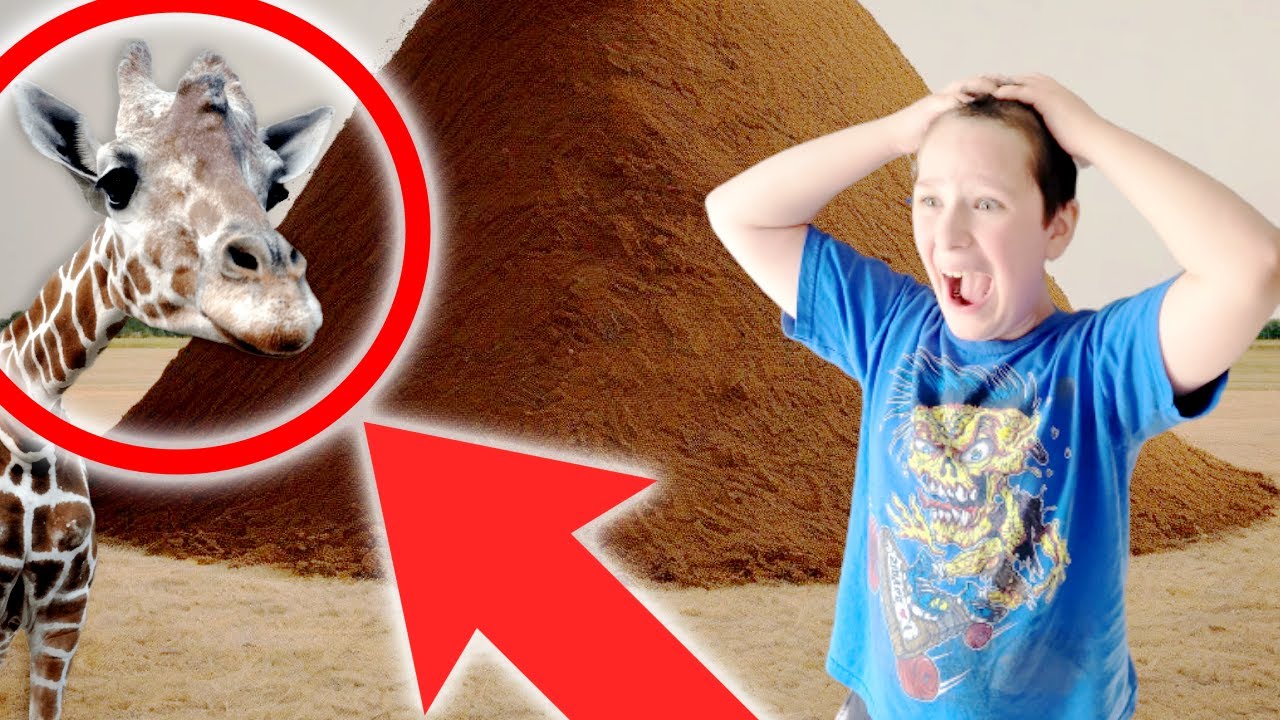 Giraffe POOP! | Ep. 3 | JNR - YouTube