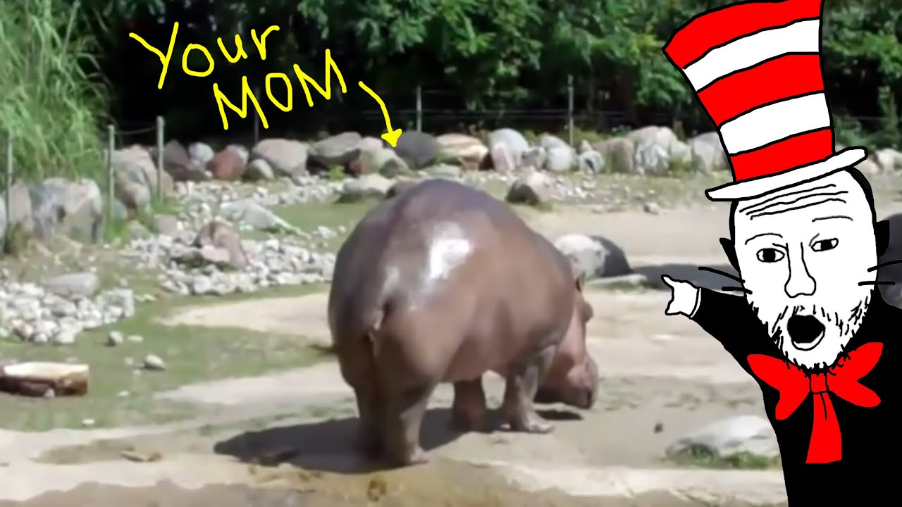 Mini-YTP: Loose Screuss (collab entry) - YouTube