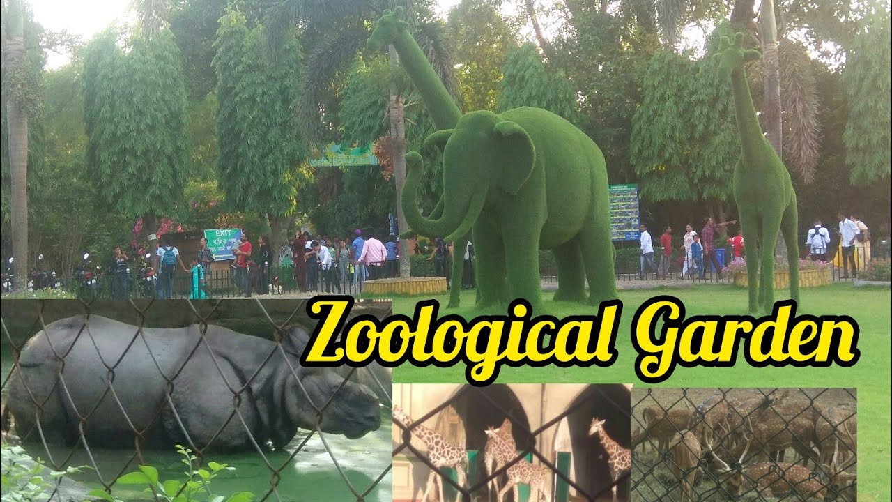 #Zoological Garden Alipore Kolkatha #kolkata Zoo#sunday outing #zoo ...