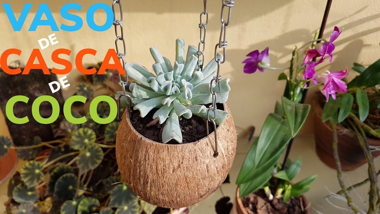 VASO FEITO COM CASCA DE COCO, SAIBA COMO FAZER UM LINDO VASO CASEIRO ...