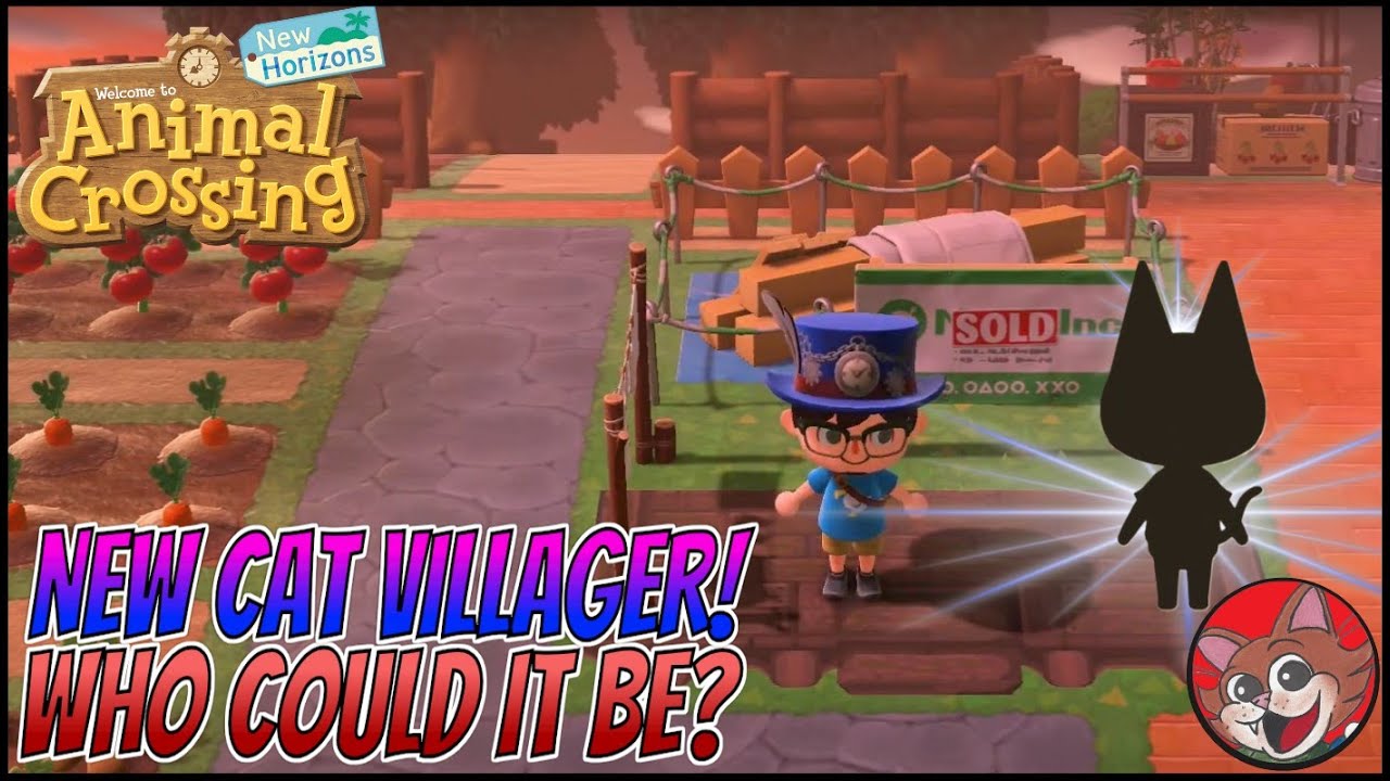 🔴We Have A New Cat Villager!!.. Who Is It?? | Animal Crossing: New ...