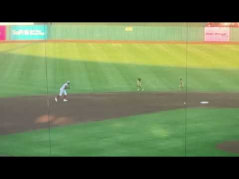 Hotdog race at the grizzly game 
