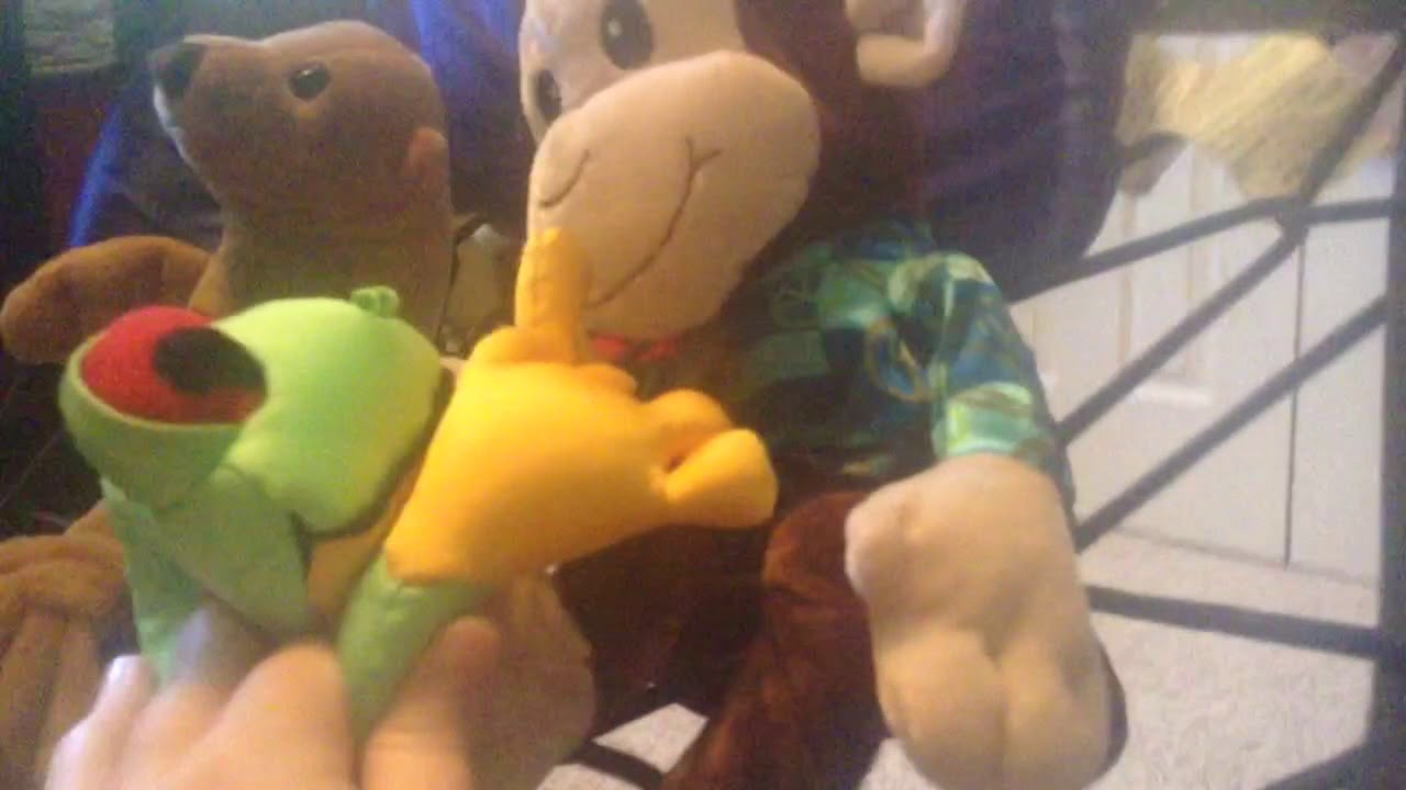 Meet monkey bob jimmy joe and flippers - YouTube