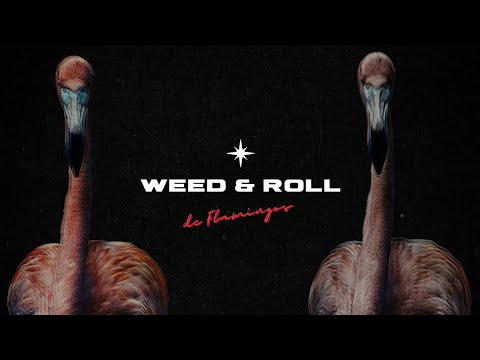 Weed & Roll | De Flamingos - YouTube