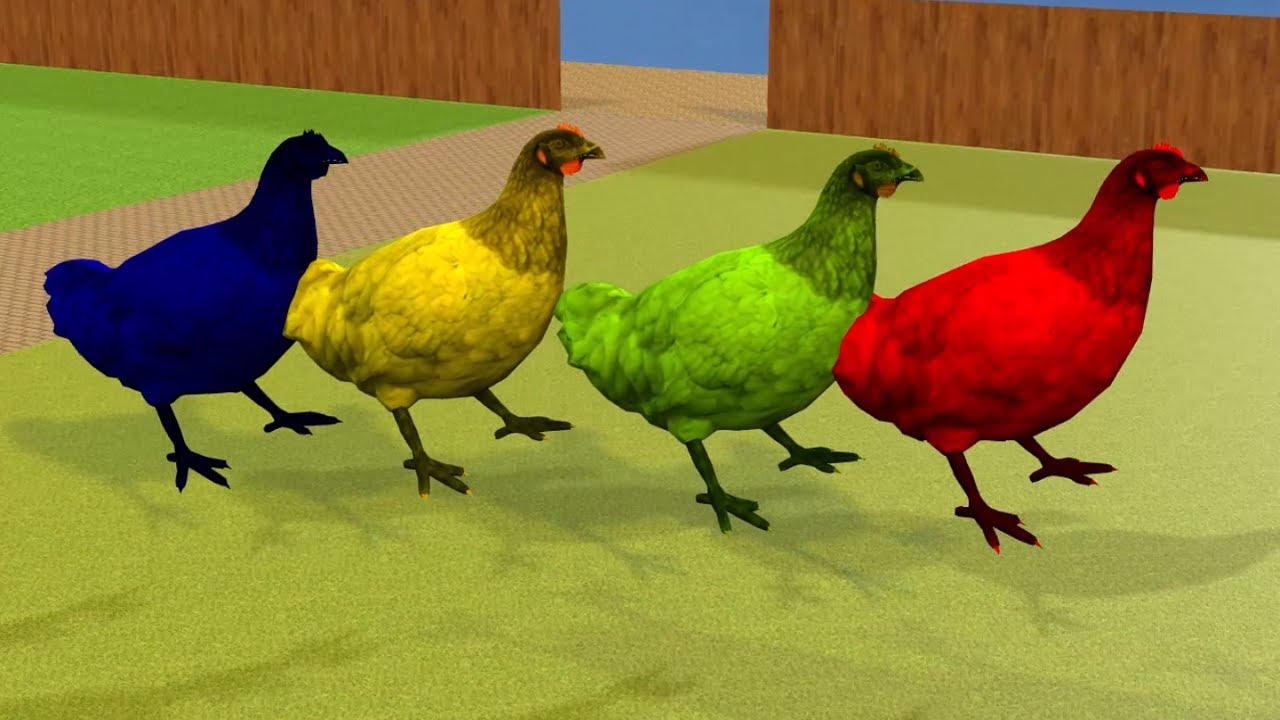 Funny Chicken dance - Funny Chicken dance fun chicken song | chicken ...