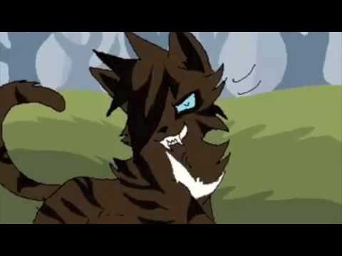 Warriors cats amv - Scourge,Brandbleclaw and HawkFrost -- Time of dying ...