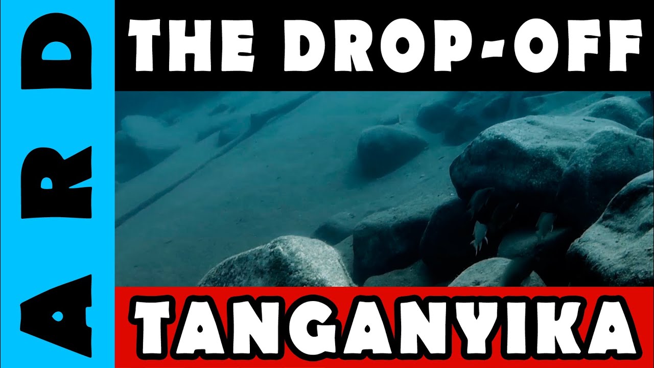The drop-off - Lake Tanganyika - YouTube