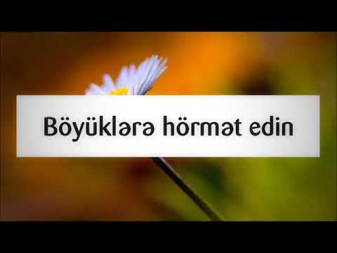 Ramil Soltanov: Böyüklərə hörmət etmək dinimizdəndir