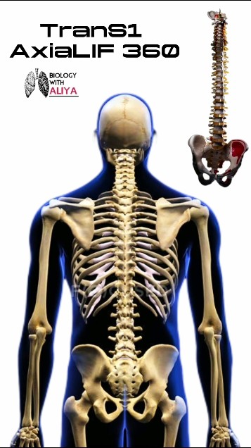 TranS1 AxiaLIF360 | #medical #animation #3d #short | BiologywithAliya ...